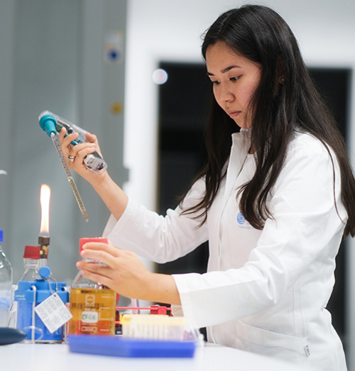 International PhD Programme (IPP)