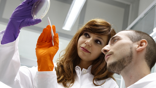 The Institute of Molecular Biology (IMB)