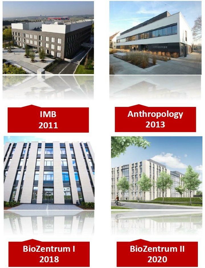 GenEvo: IMB Mainz